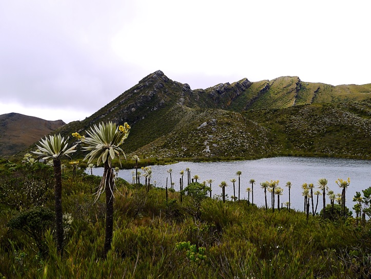 Descubre el Parque Nacional Natural Chingaza: un paraíso ecológico ...